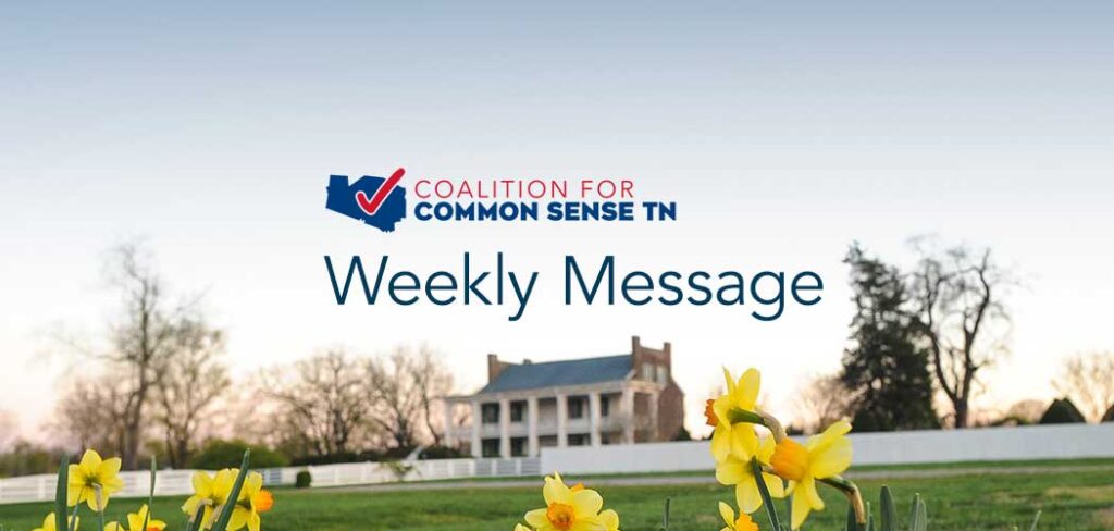 Important Elections Coming Up Soon - Coalition for Common Sense TN